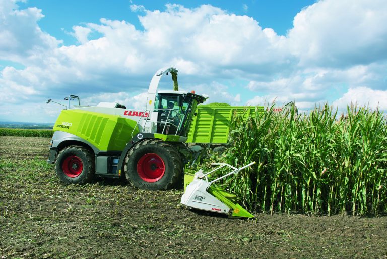 Maize - Hunt Agri Services : Hunt Agri Services